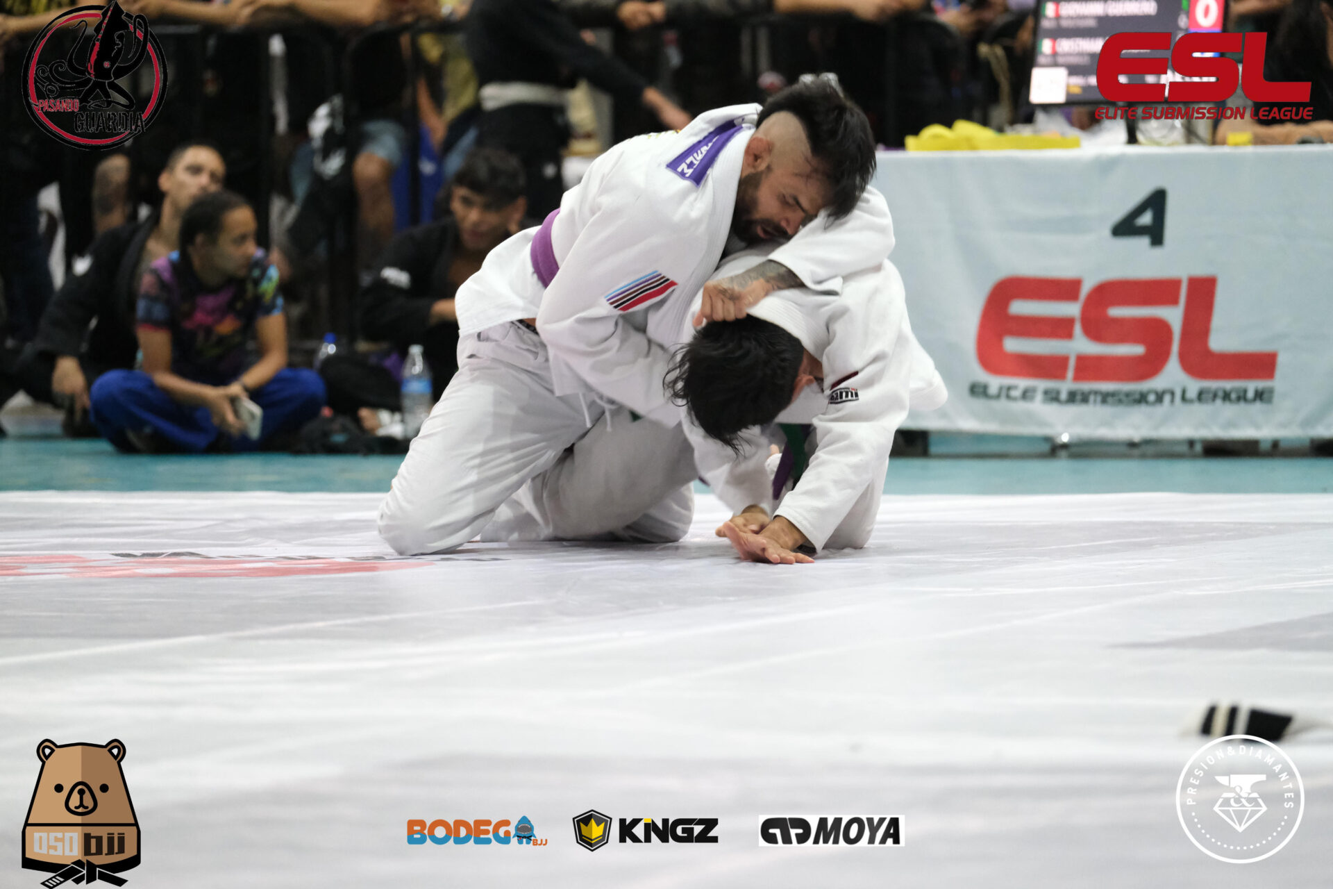 ¿Formula para ser jiujiteiro profesional? - Pasando Guardia